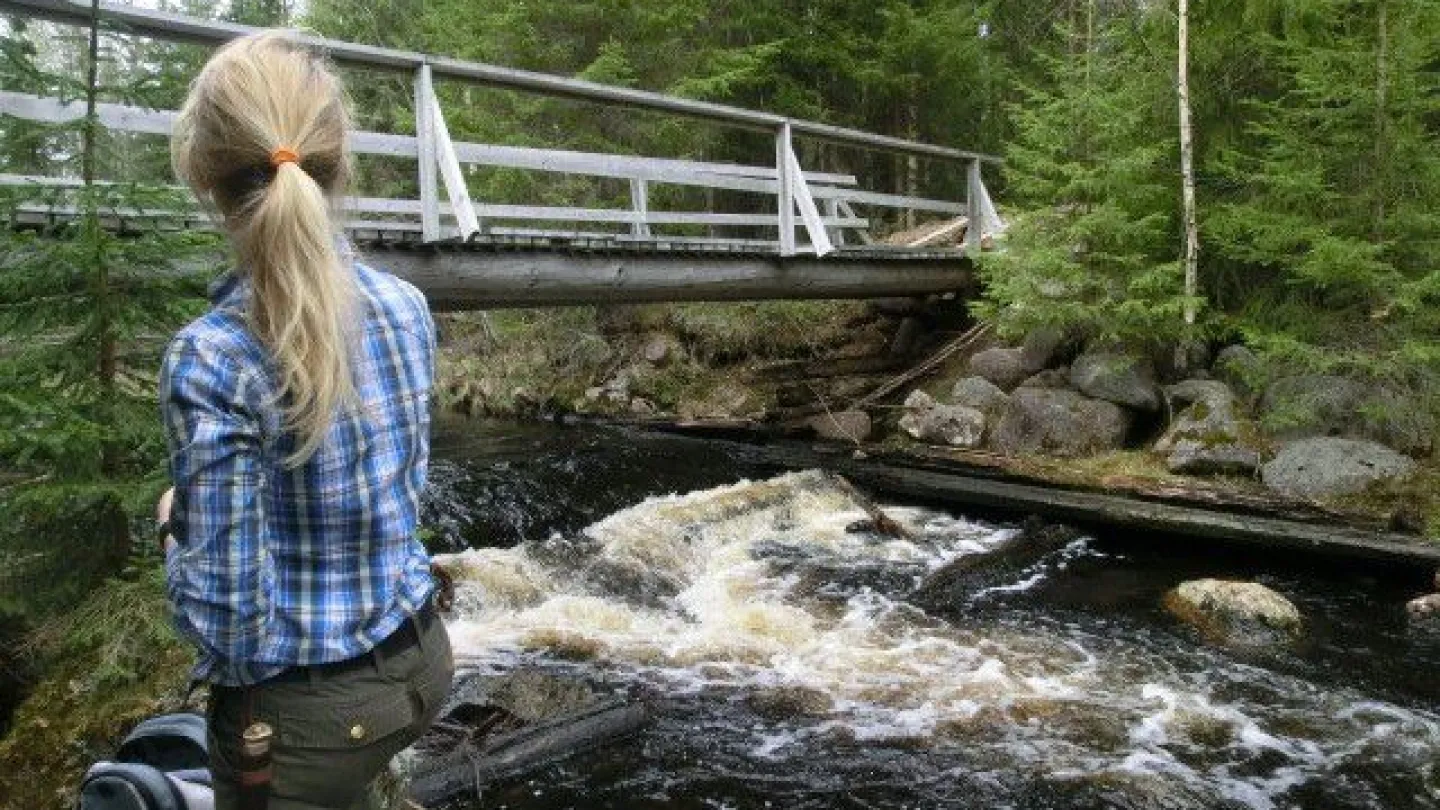 Flottarleden / Finnåleden Helgum | Höga Kusten