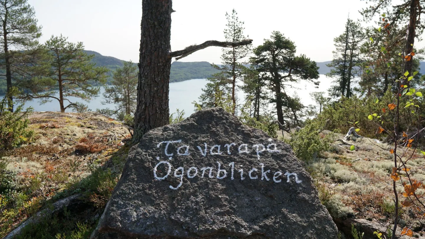 Per Olsbo | Höga Kusten