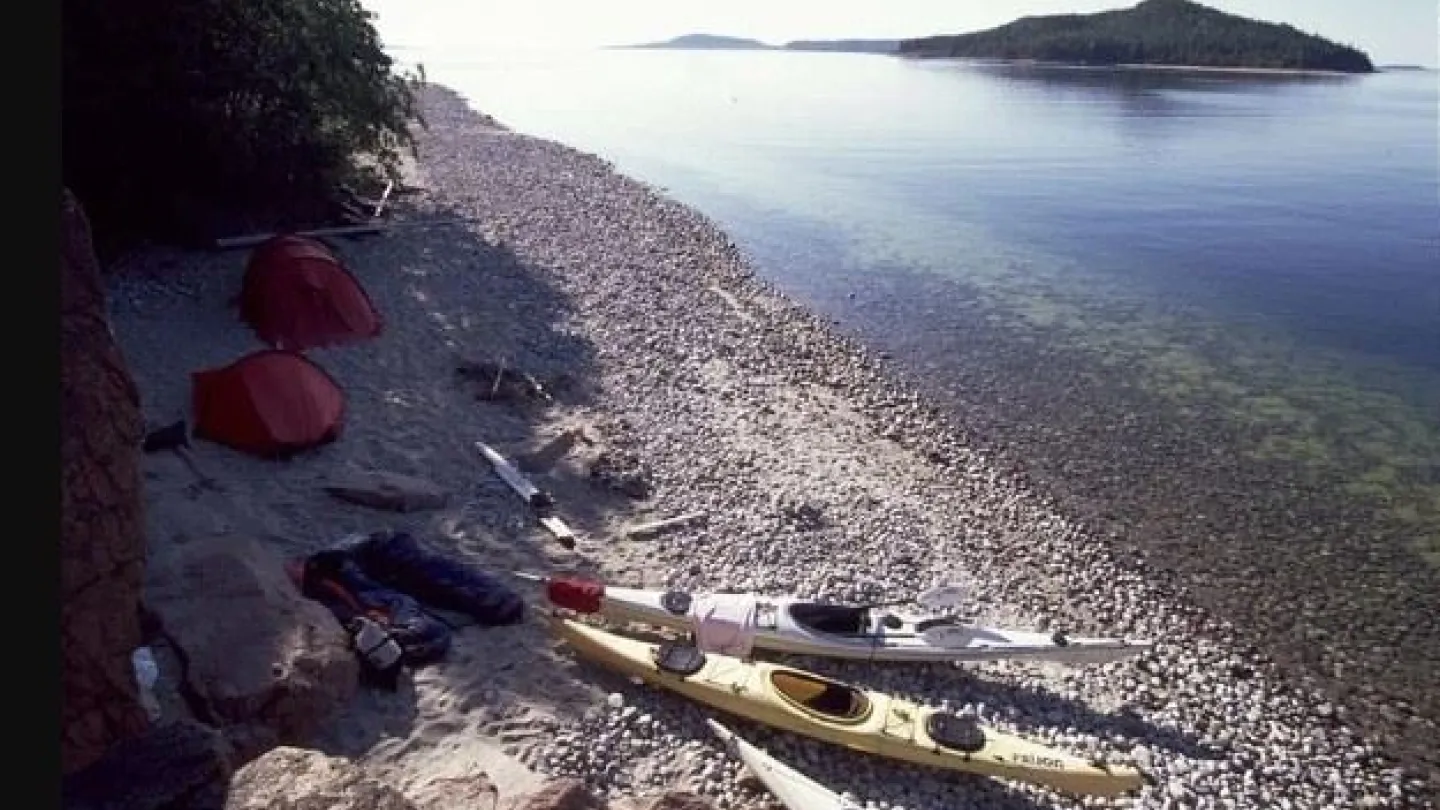 Kayaking - guided tours and courses with LiveOutdoor | Höga Kusten